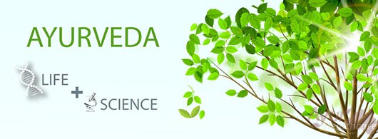 Ayurveda - Ayurvedic Treatment, Practitioners, Medicine - Sydney, Australia